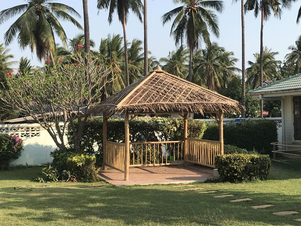 Dolphin Bay - The Juniper Tree