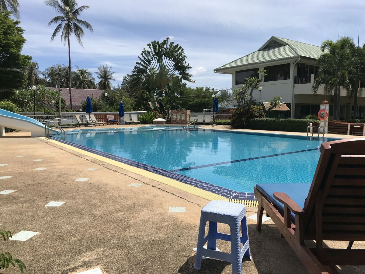 Photos – DB - The Juniper Tree