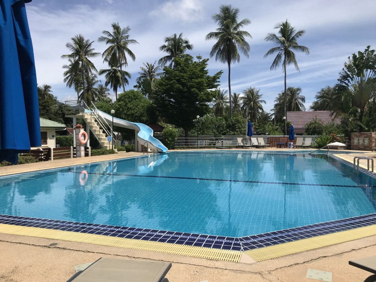 Photos – DB - The Juniper Tree